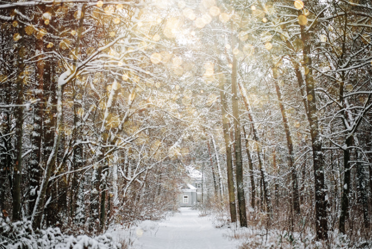 Winter Solstice - Education and Experiences